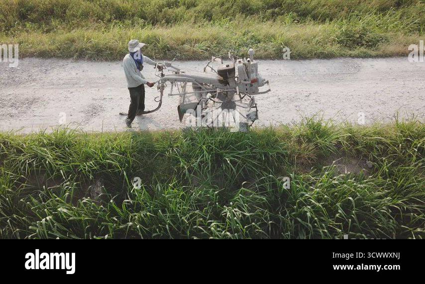 Farmer move the two wheel hand tractor in small path toward the rice ...