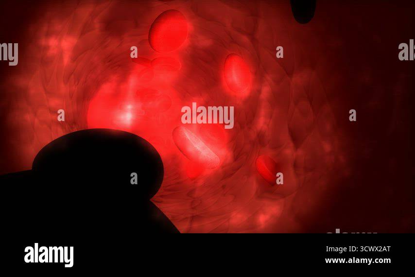 Medical and science animation, human blood cells Stock Video Footage ...