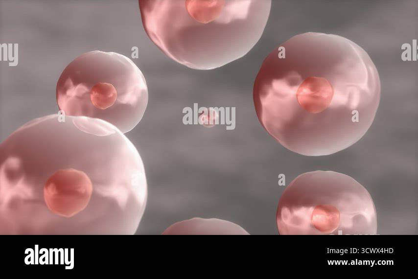 Human cell chromosome and DNA close up Stock Video Footage - Alamy