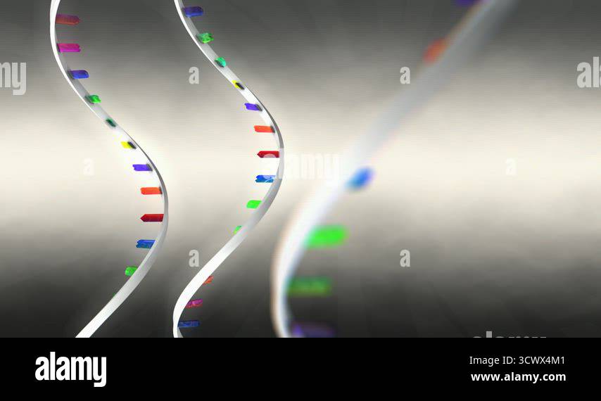 3d rendering messenger RNA model Stock Video Footage - Alamy