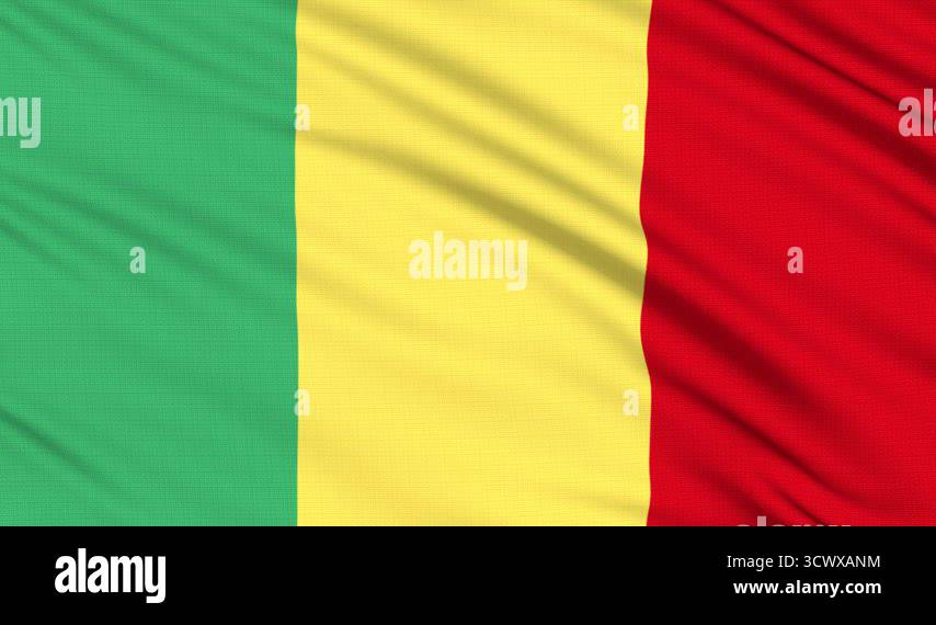 Mali flag, with real structure of a fabric Stock Video Footage - Alamy