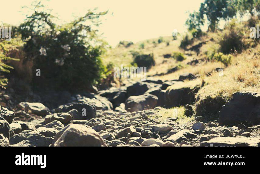 Bottom of a river valley Stock Video Footage - Alamy