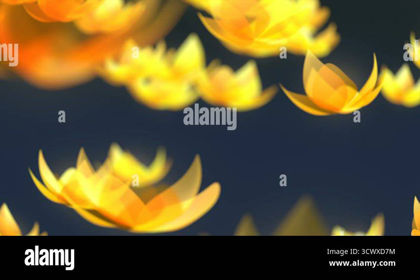Lotus flower falling animation Stock Video Footage - Alamy