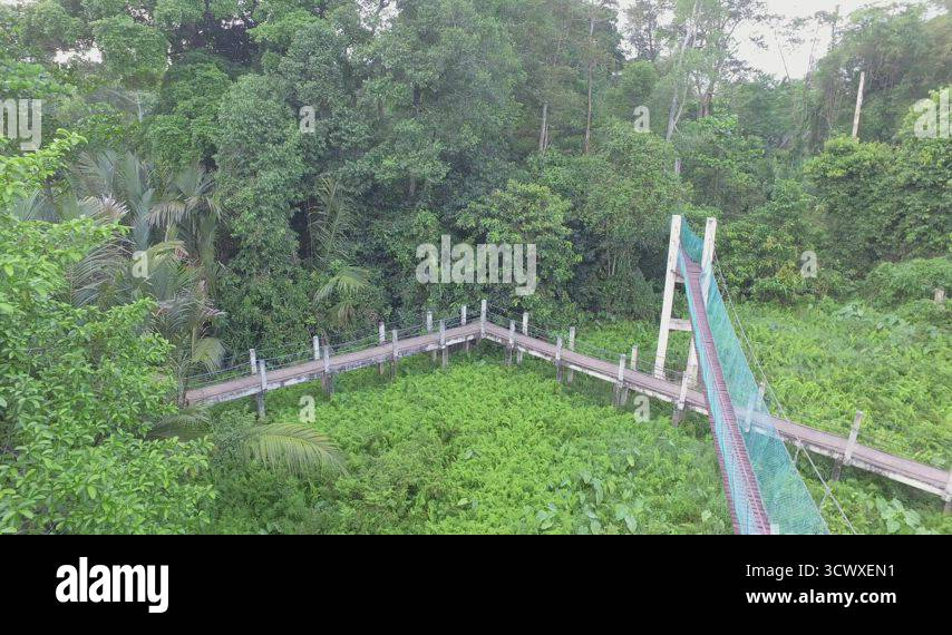 Elevated walkway Stock Videos & Footage - HD and 4K Video Clips - Alamy