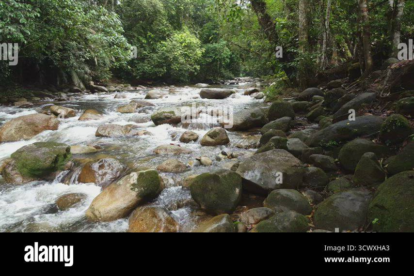 Flow fast moving river Stock Videos & Footage - HD and 4K Video Clips ...