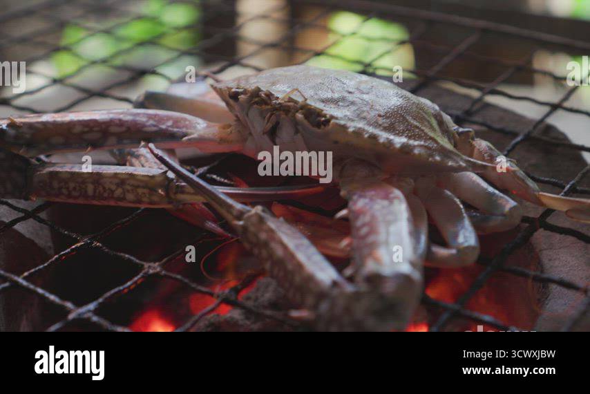 Flower crab get grilling on a traditional stove. Thai seafood menu with ...
