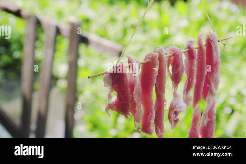 Raw pork hanging with sunlight of a day. Making of dried pork ...