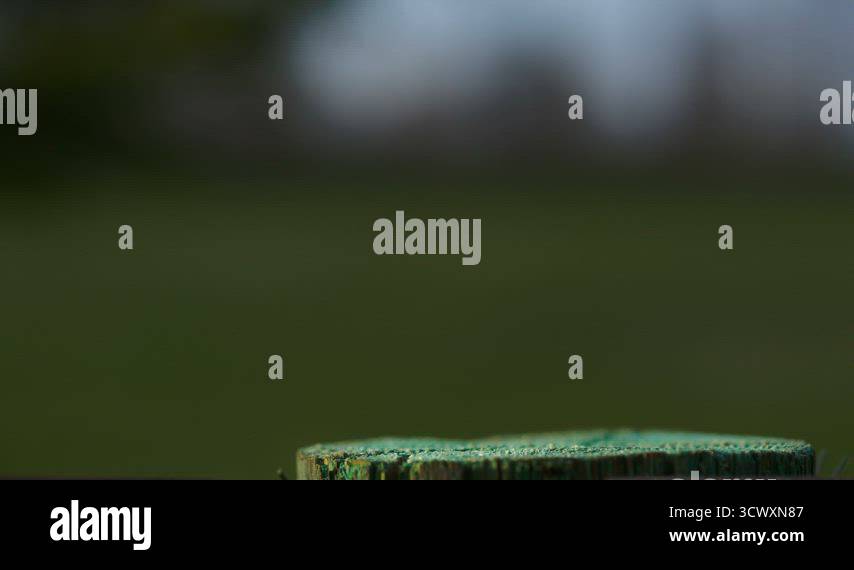 Putting a toy house on small stub Stock Video Footage - Alamy