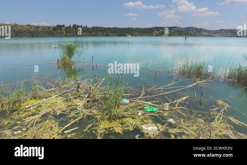 Consequences urban water pollution garbage Stock Videos & Footage - HD ...