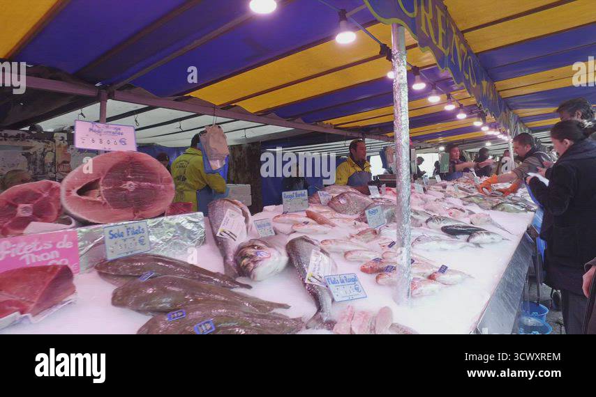 Paris fish eye Stock Videos & Footage - HD and 4K Video Clips - Alamy