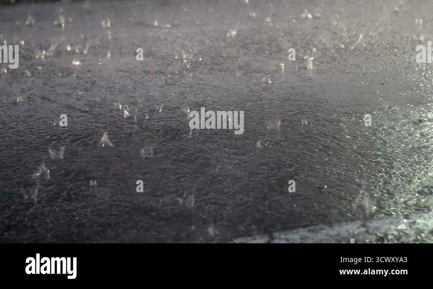 Heavy rain at night on asphalt road, handheld shot Stock Video Footage ...