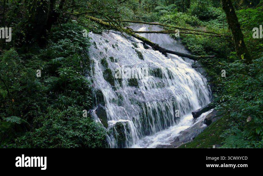 cascade waterfall in tropical rain forest Stock Video Footage - Alamy