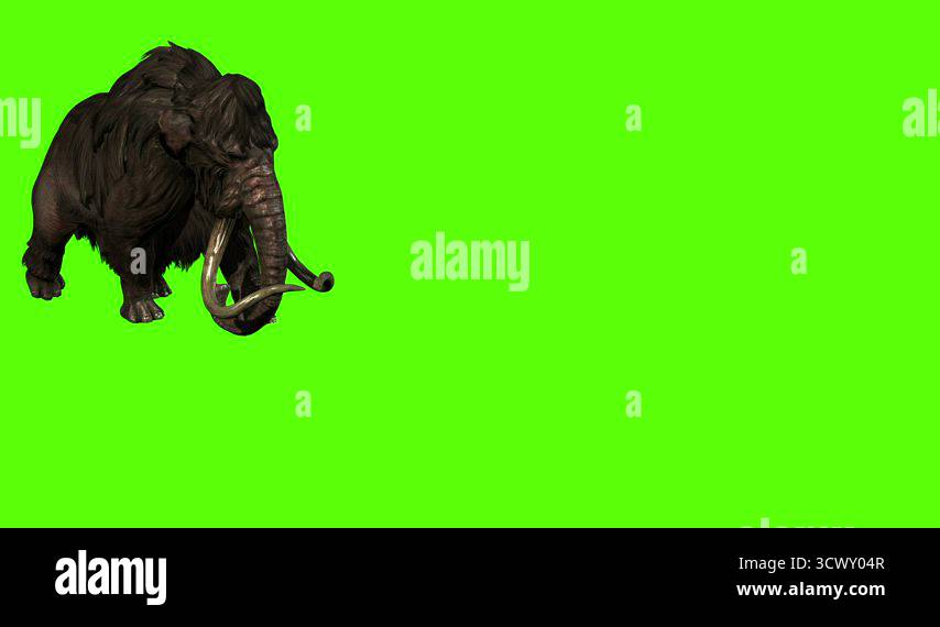 Giant mastodon Stock Videos & Footage - HD and 4K Video Clips - Alamy