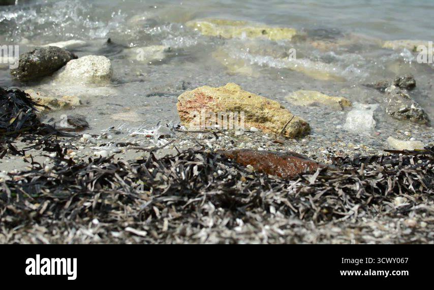 close up of small waves over rocks on the white sand beach shore Stock ...