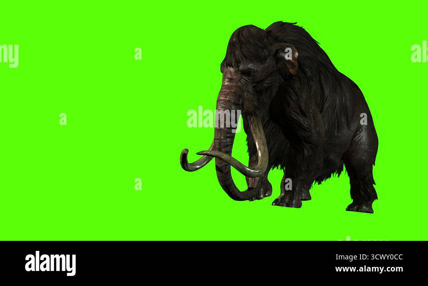 Mastodon animal Stock Videos & Footage - HD and 4K Video Clips - Alamy