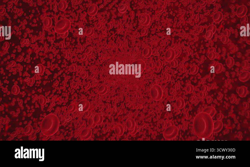 Blood flow cells inside human vein Stock Video Footage - Alamy