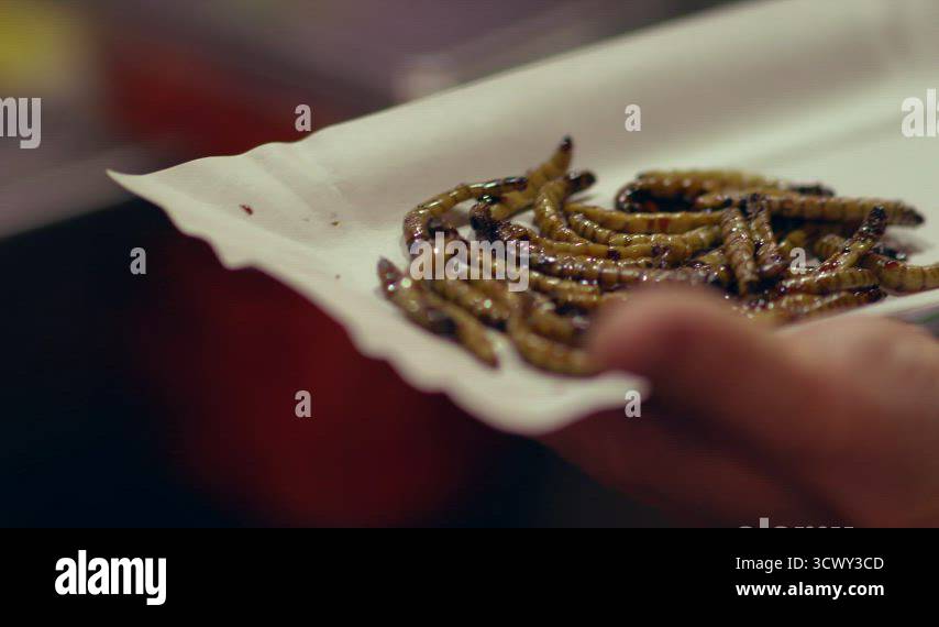 Deep fried crispy mealworms Stock Videos & Footage - HD and 4K Video ...
