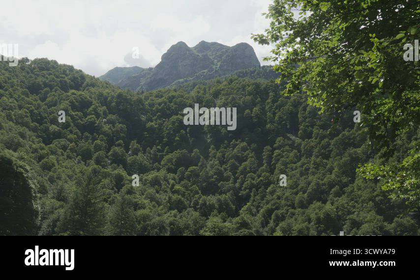 Etang de bethmale french pyrenees Stock Videos & Footage - HD and 4K ...