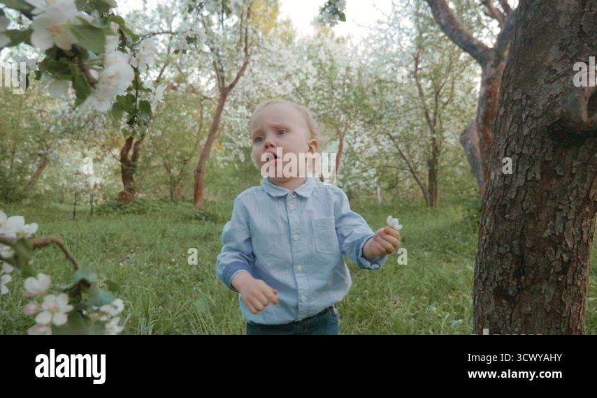 Now he knows how blooming apple-tree smells Stock Video Footage - Alamy