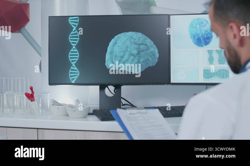 Doctor taking notes and studying from a 3D animated brain scan Stock ...