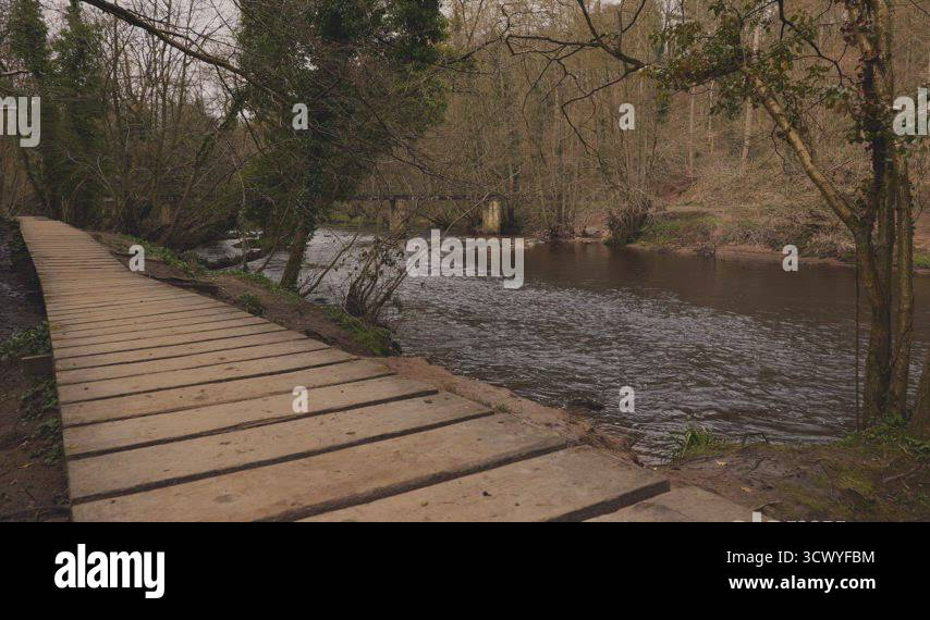 Wooden footpath side river Stock Videos & Footage - HD and 4K Video ...