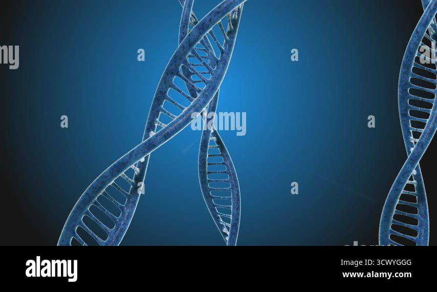 Human DNA Stock Video Footage - Alamy