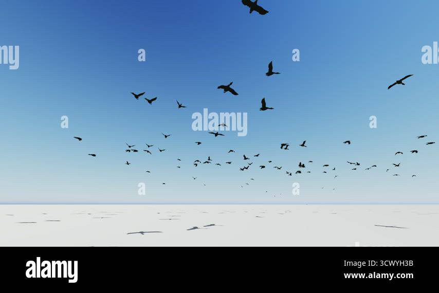 Flock of birds flying across the screen.3D animation and rendering ...
