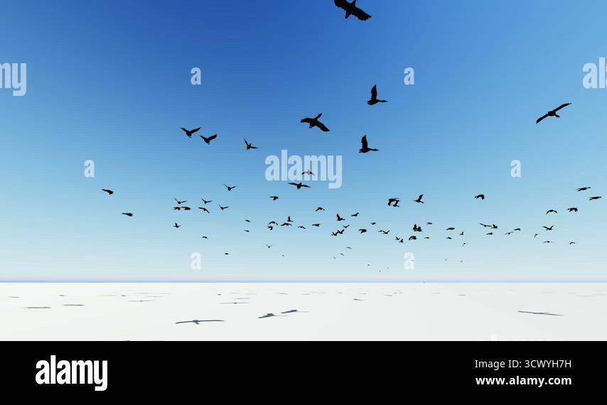 Flock of birds flying across the screen.3D animation and rendering ...