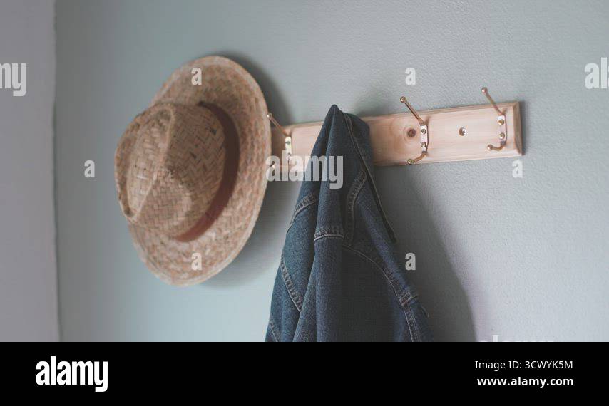 Grab by jacket Stock Videos & Footage - HD and 4K Video Clips - Alamy
