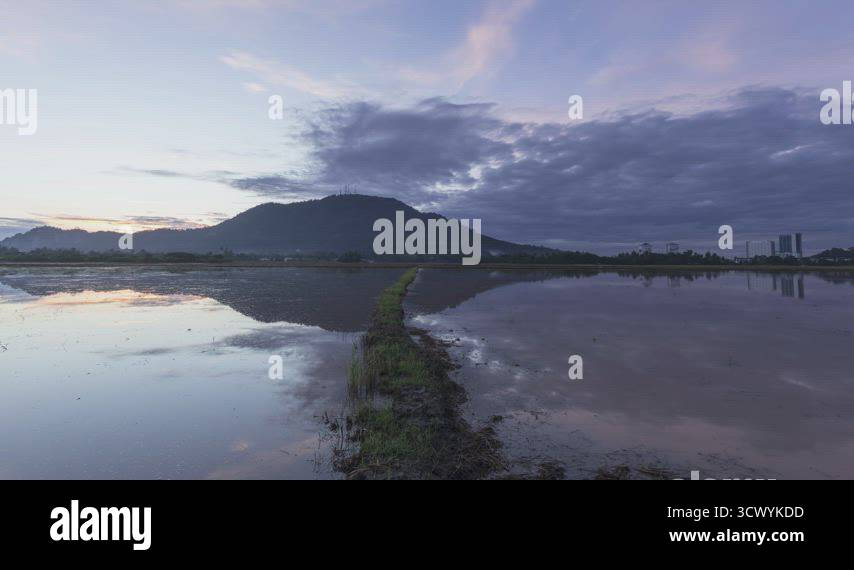 Path towards sun Stock Videos & Footage - HD and 4K Video Clips - Alamy