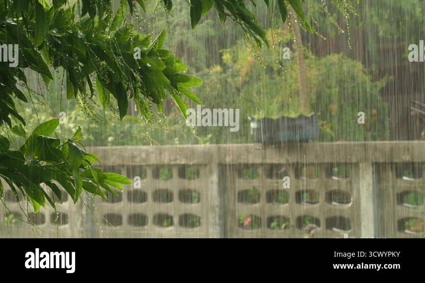 Rain on road beginning rainy Stock Videos & Footage - HD and 4K Video ...