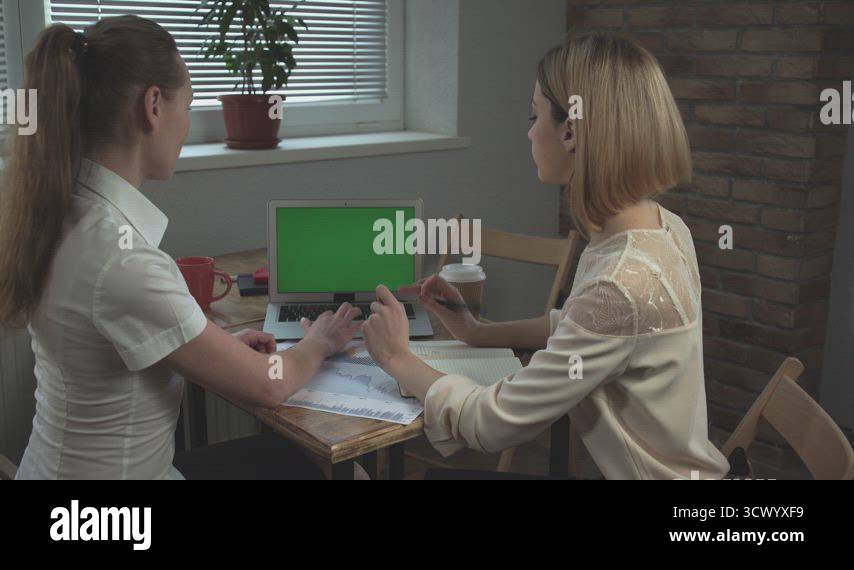 Woman presenting report Stock Videos & Footage - HD and 4K Video Clips ...