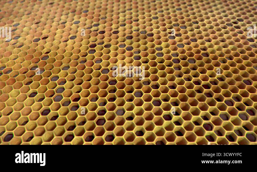 Empty hive, looping animation Stock Video Footage - Alamy