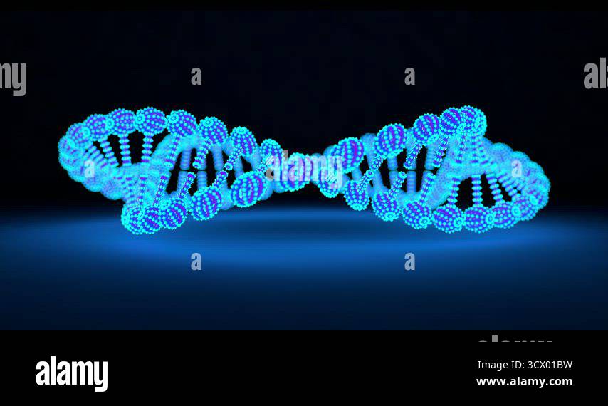 DNA Chain in circle, looping rotation 3D animation Stock Video Footage ...
