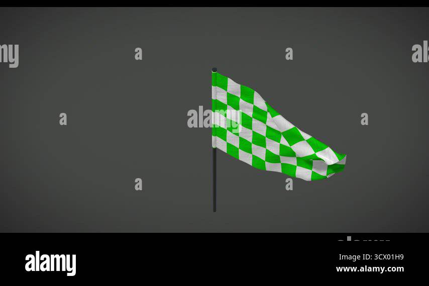 Racing flags green checkered flag Stock Videos & Footage - HD and 4K ...