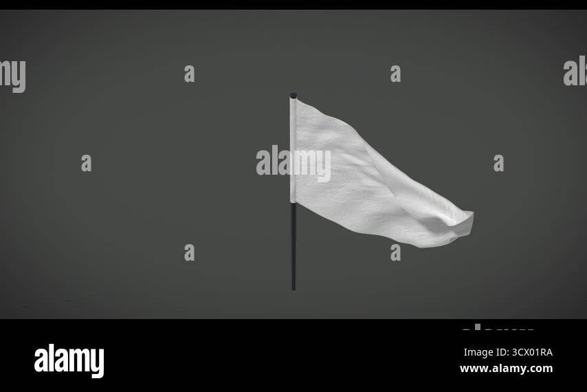 Racing flags - White flag looping animation with alpha mask Stock Video ...