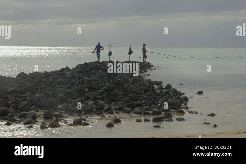 Two men fishing people Stock Videos & Footage - HD and 4K Video Clips ...