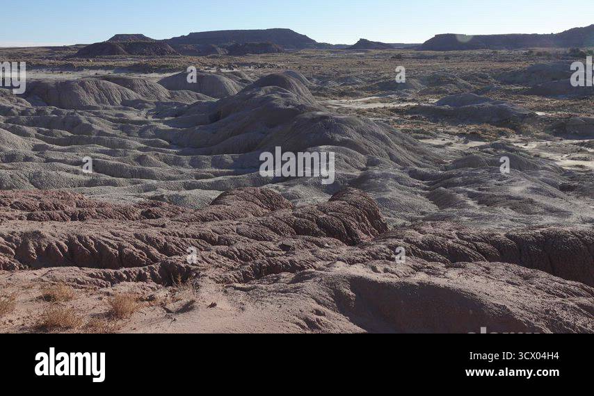 The Painted Desert on a sunny day. Diverse sedimentary rocks and clay ...