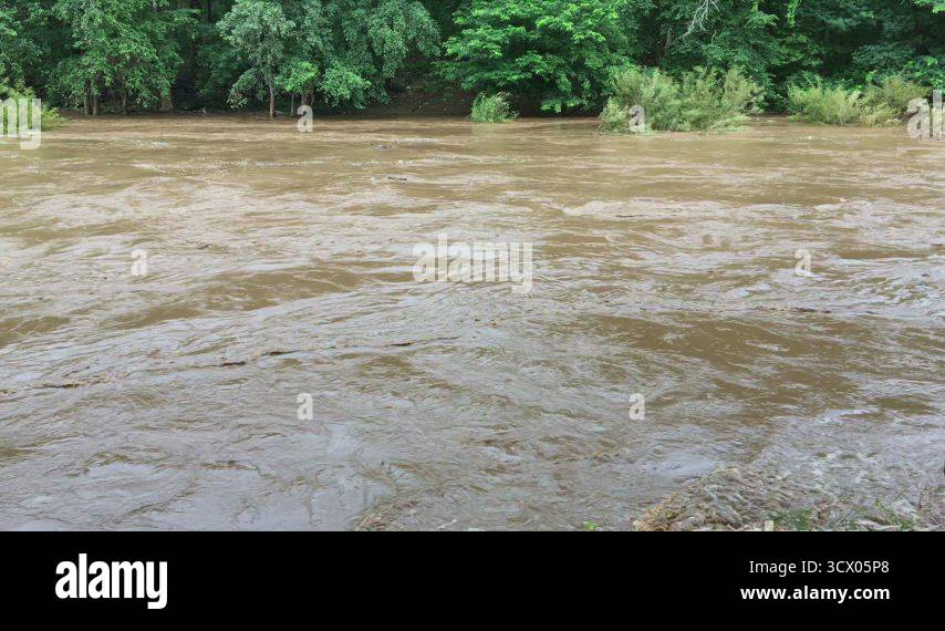 Flooding in forest during the rainy season. The cause of flooding was ...