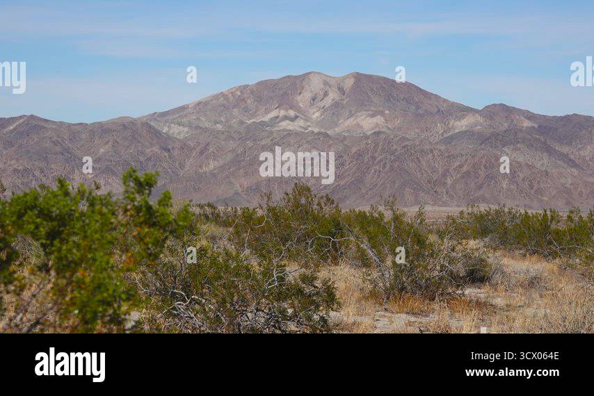 A panoramic view in Joshua Tree National Park. Joshua Tree (Yucca ...