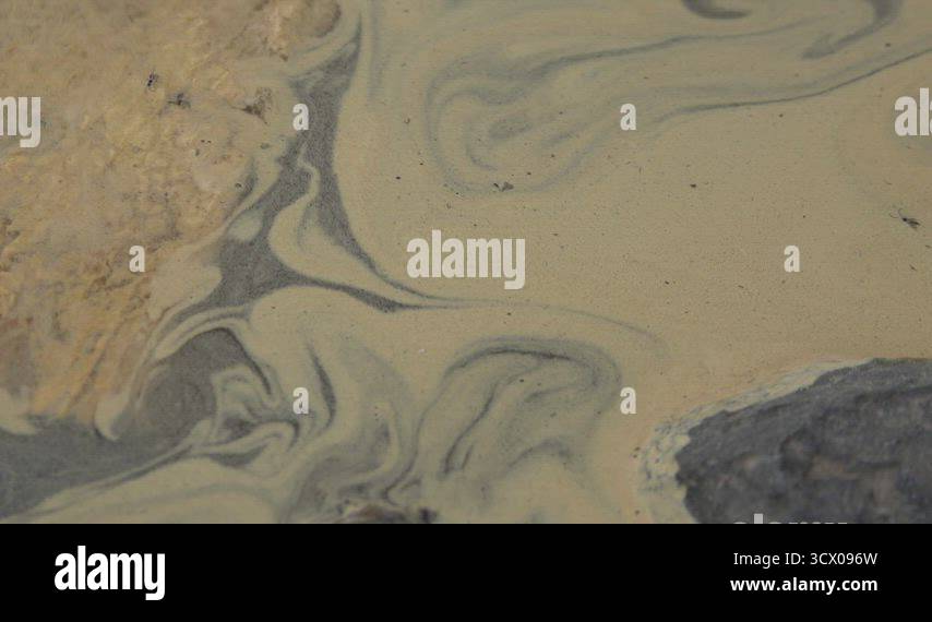 Yellow crustacean eggs (Artemia salina) in water and on the shore Stock ...