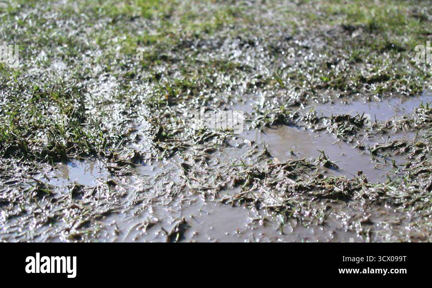 Child boy playing and splashing in puddle mud Stock Video Footage - Alamy