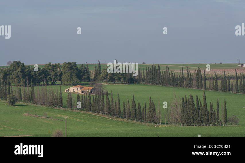 Timelapse of wind waving trees in rural area Stock Video Footage - Alamy