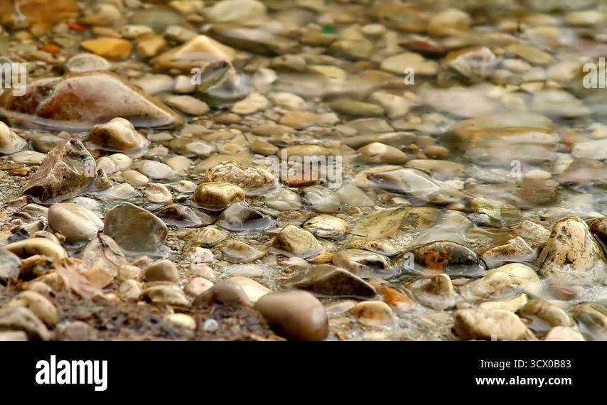 Calm water moving on the pebbles Stock Video Footage - Alamy