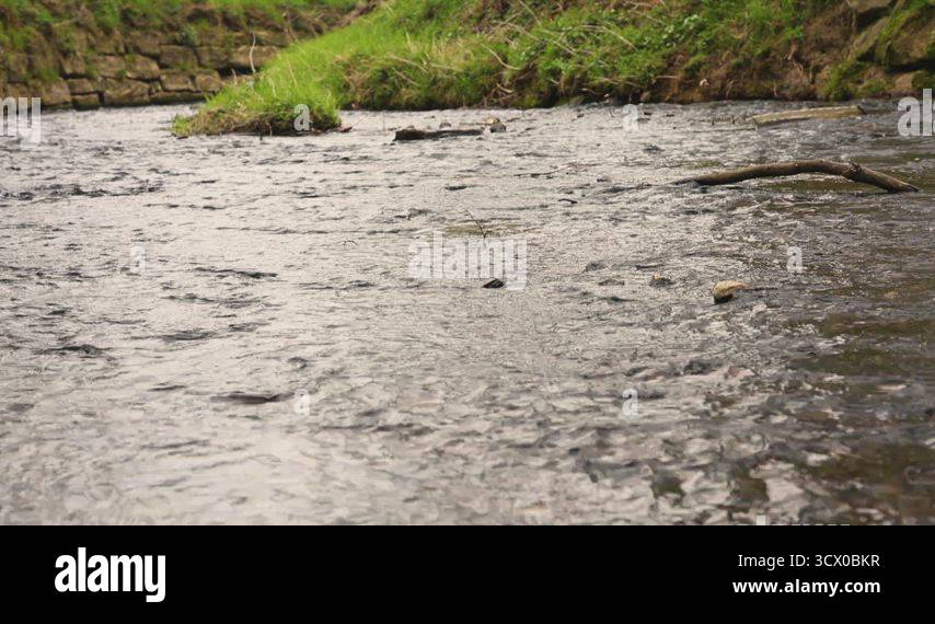 Riverbed filled with water low recording point Stock Video Footage - Alamy