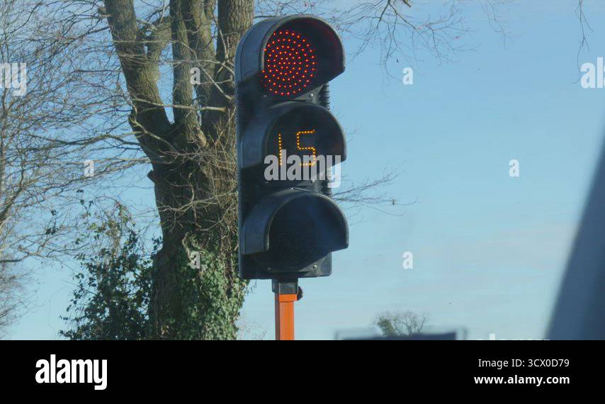 traffic light with the countdown Stock Video Footage - Alamy