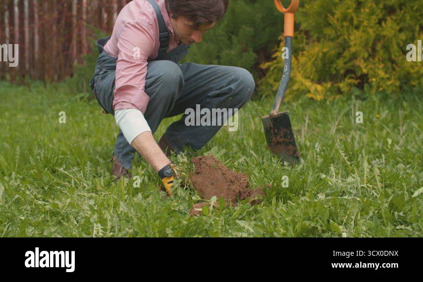 Gardener digging ground on lawn Stock Videos & Footage - HD and 4K ...