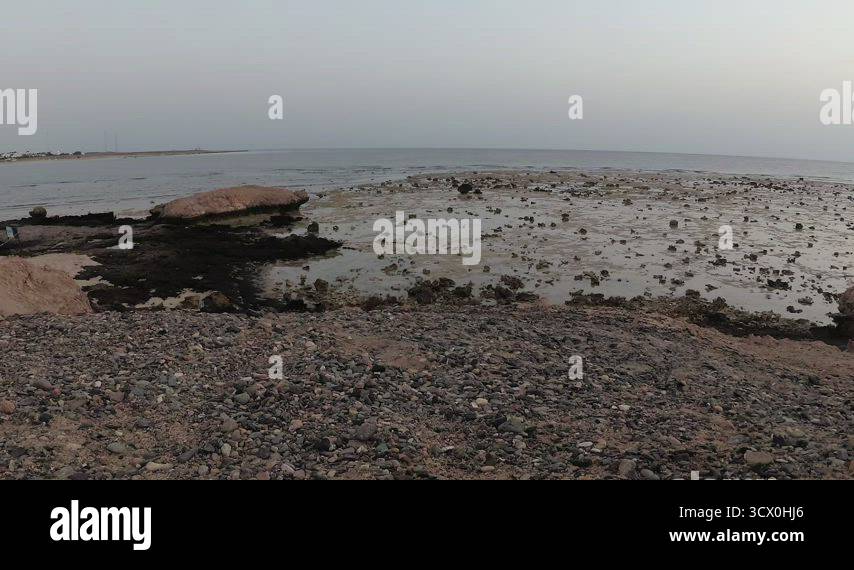 Early whale seashore, coastal coral reef at low tide. Red Sea, Egypt ...