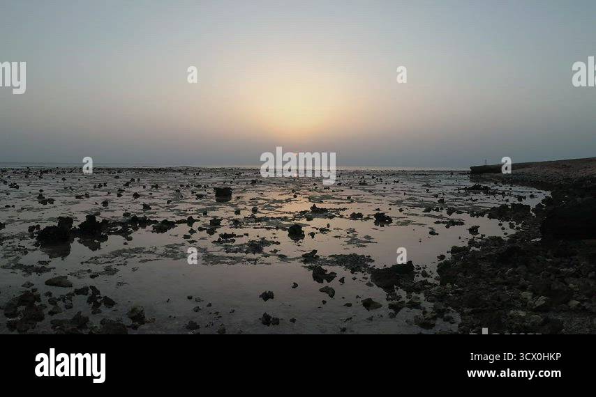 Early whale seashore, coastal coral reef at low tide. Red Sea, Egypt ...