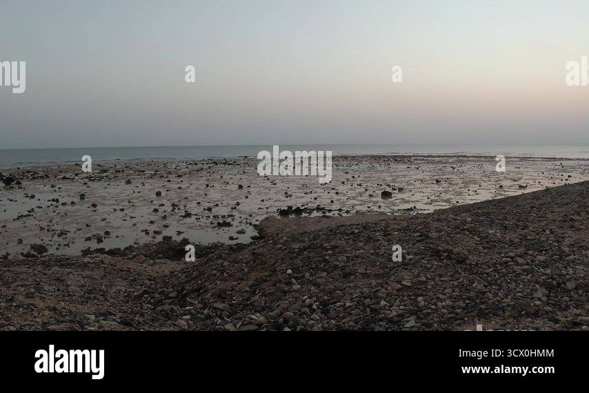 Early whale seashore, coastal coral reef at low tide. Red Sea, Egypt ...